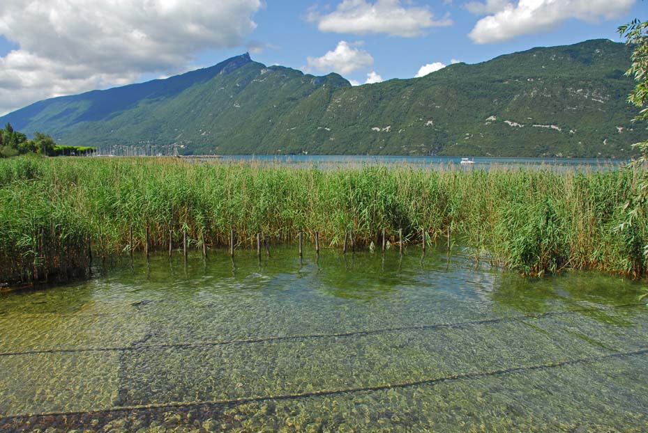 Espace presse de l'agence de l'eau Rhône Méditerranée Corse